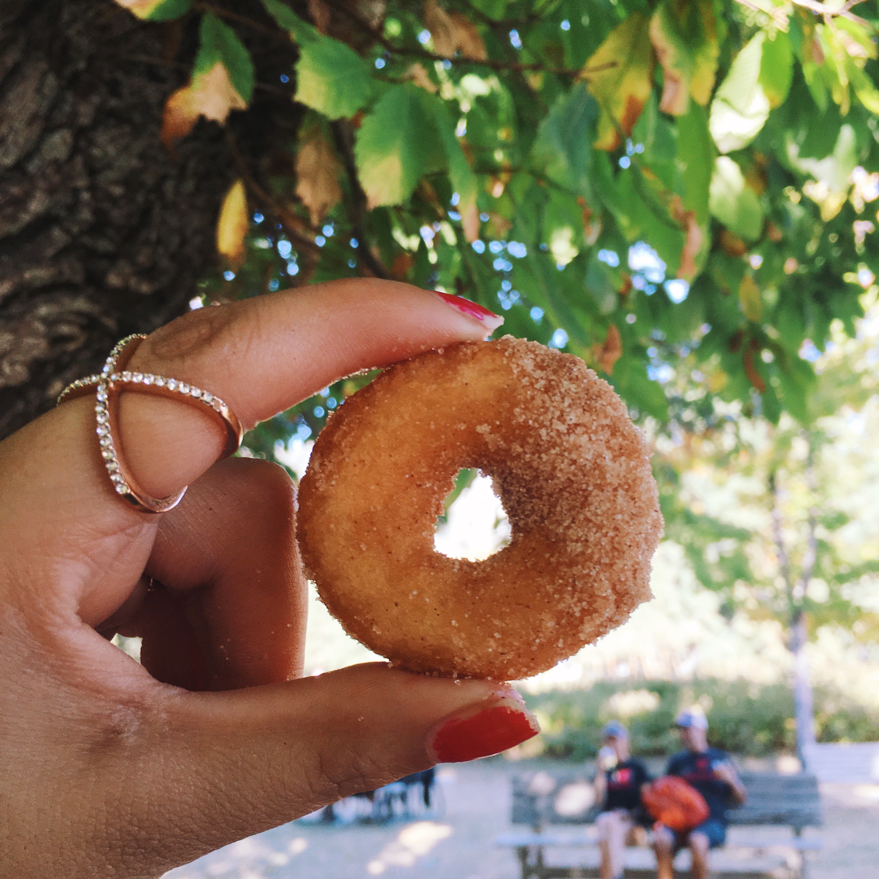Apple Picking in Oak Glen – bay-food.com